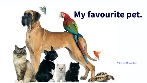 My favourite pet. | Genially