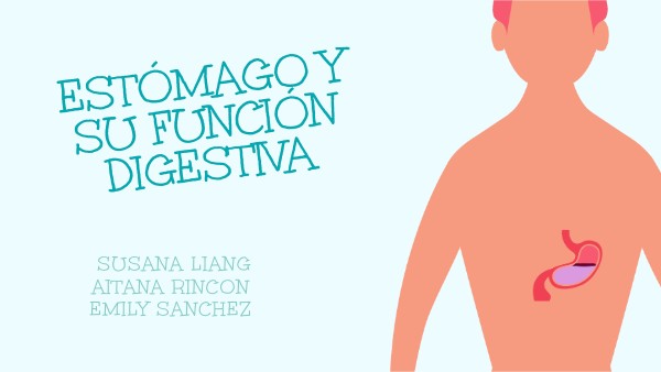 estomago y su funciones digestivas | Genially