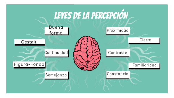 leyes de la percepcion