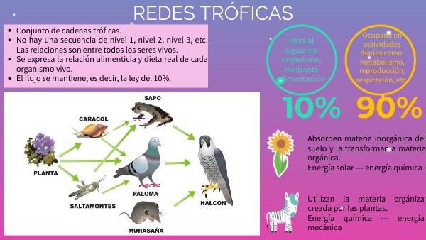 Redes tróficas | Genially