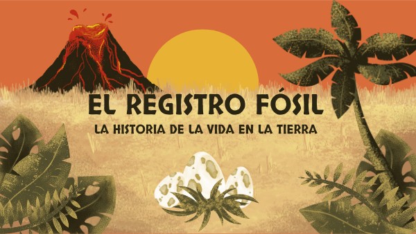 Registro fósil | Genially