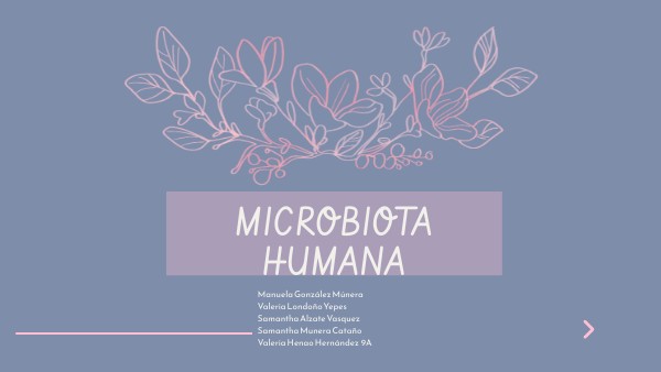 Microbiota humana | Genially
