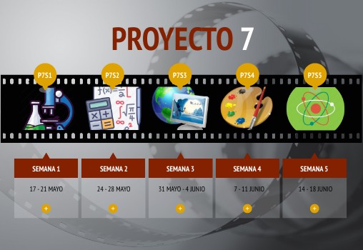 INFOGRAFIA PROY 7