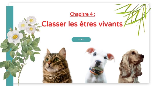 EIST C4 : Classer les êtres vivants