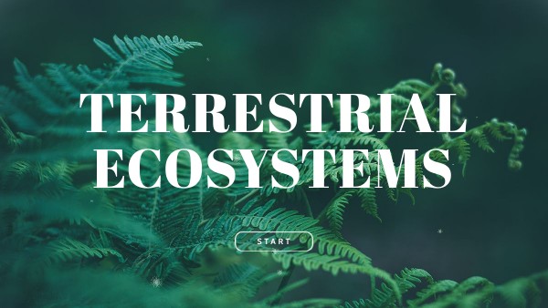 Terrestrial Ecosystems