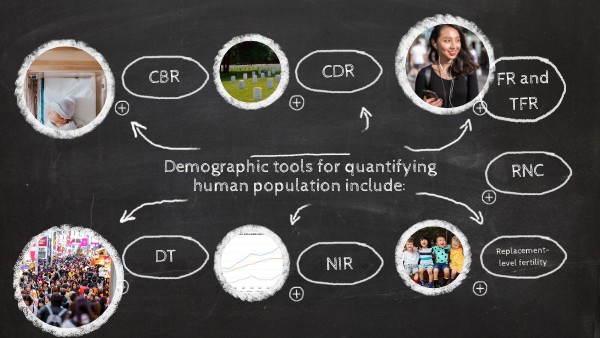Demographic tools