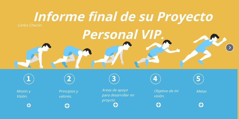 proyecto personal Vip