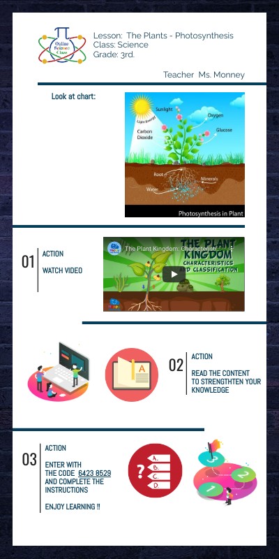 Lesson: The Plants - Photosynthesis
