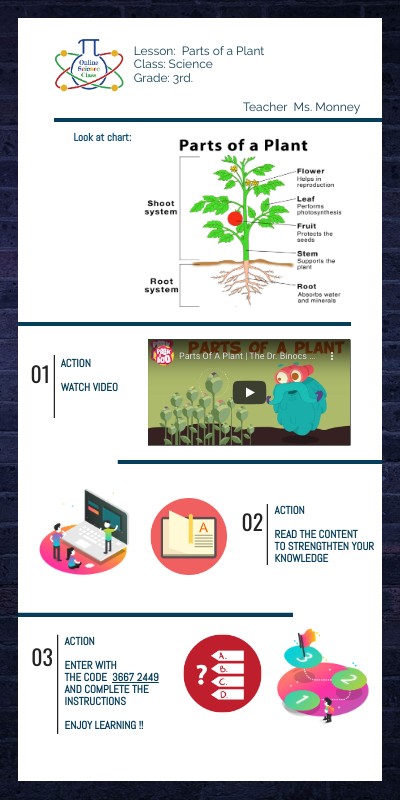 Lesson: Parts of a Plant