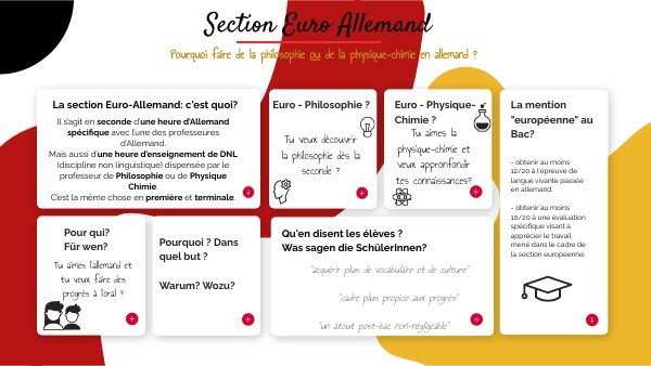 Section Euro - Allemand