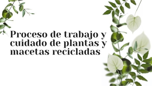 PRESENTACIÓN PLANTAS | Genially