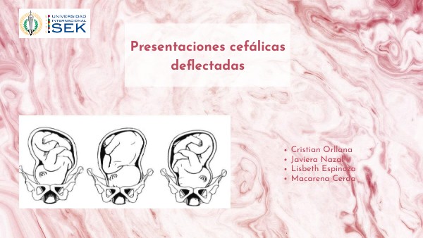 OBSTETRICIA | Genially