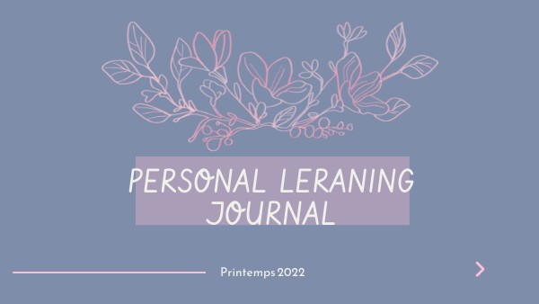 Personal learning journal S2