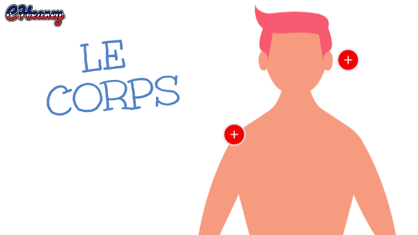 LES PARTIES DU CORPS | Genially