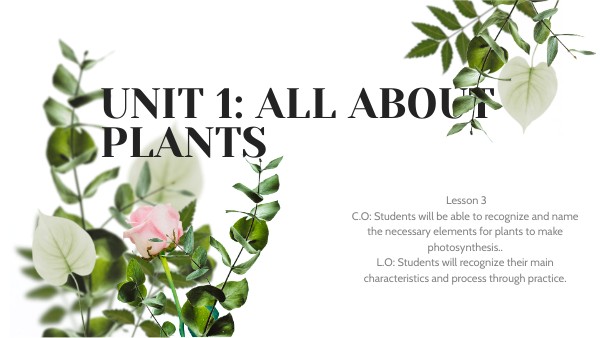 Photosynthesis lesson 3