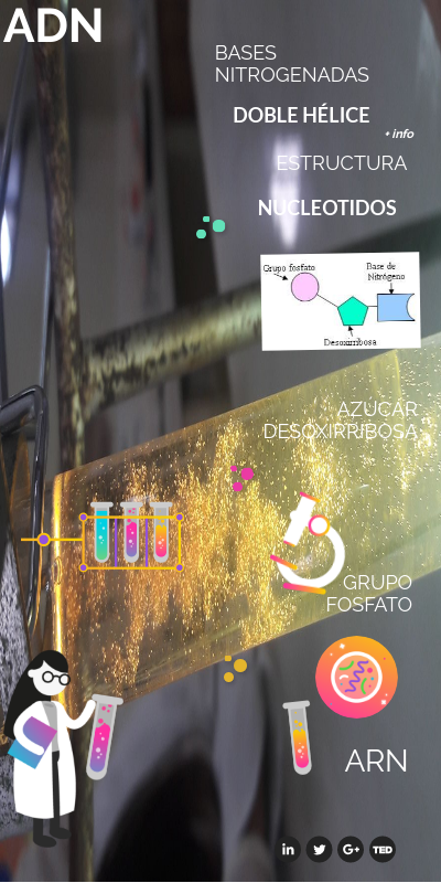 Estructura del ADN | Genially