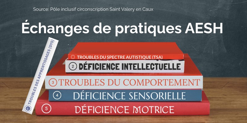 Pratiques AESH | Genially