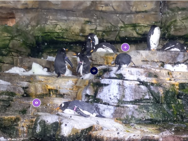 Interactive image | Genially