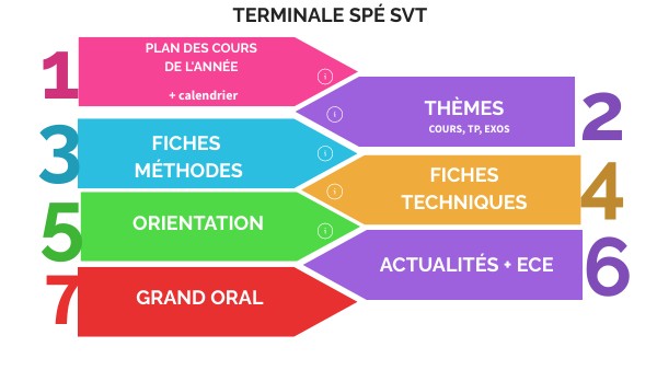 Terminale Spe 23-24 | Genially