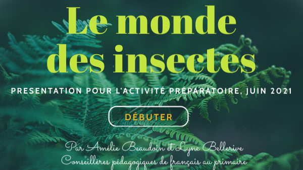 Le monde des insectes | Genially