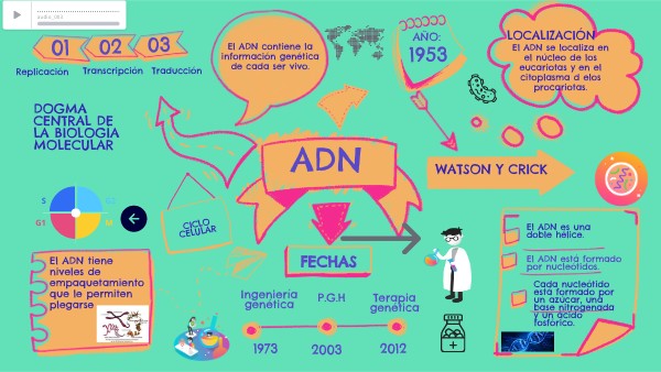 ADN