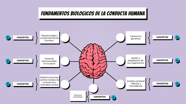 relación de conceptos | Genially