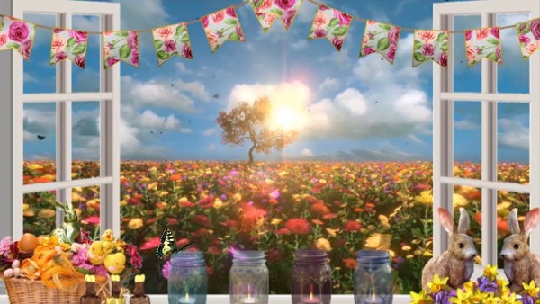 Înfloresc grădinile