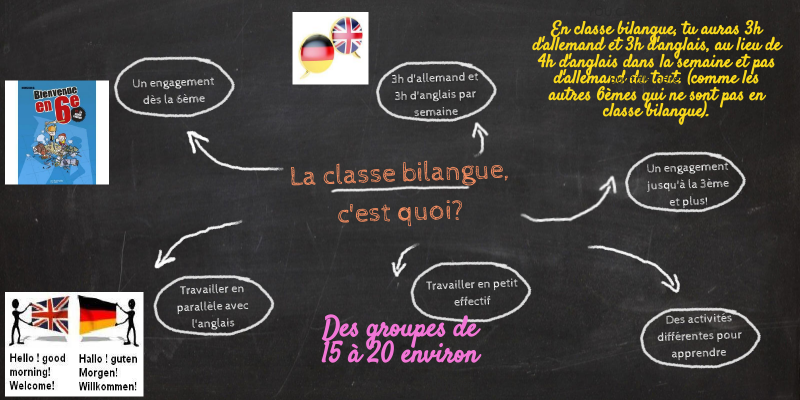 Classe bilangue Collège Georges David Mirebeau