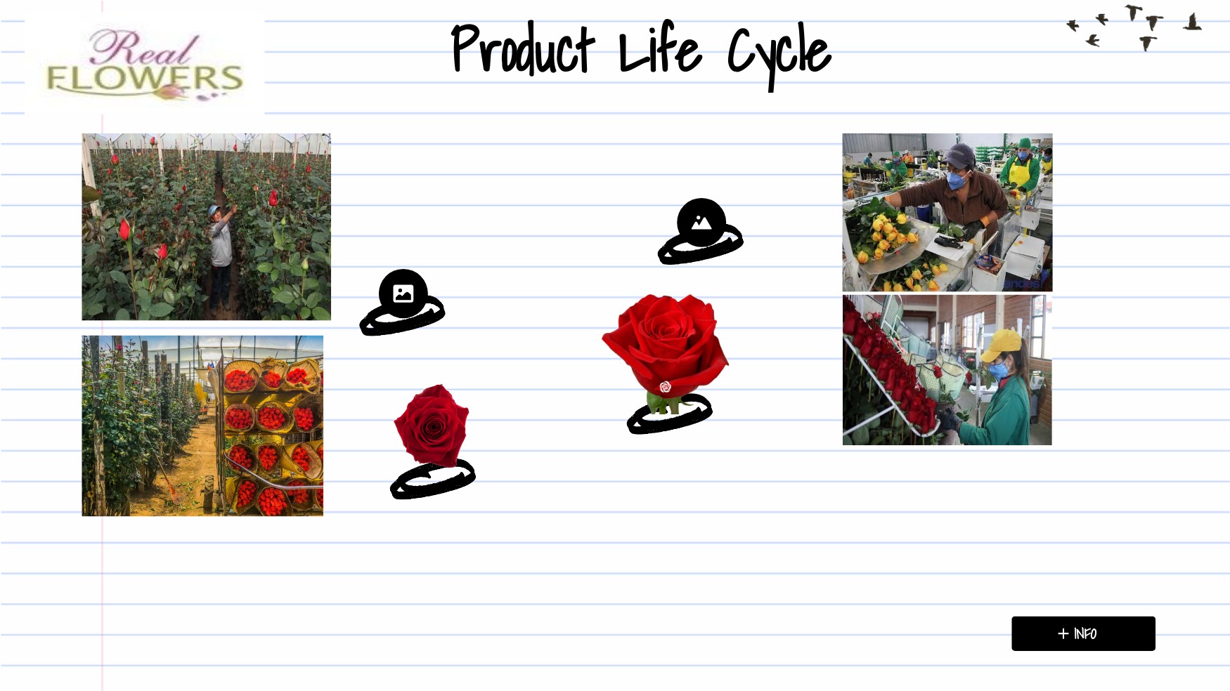 CASE STUDY_PRODUCT LYFE CICLE