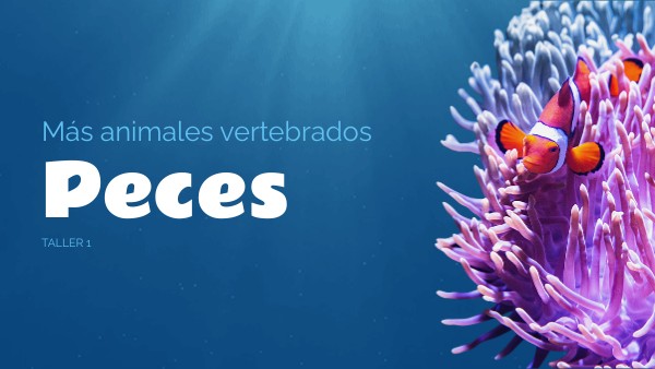 Vertebrados peces y anfibios, Segundo Básico | Genially