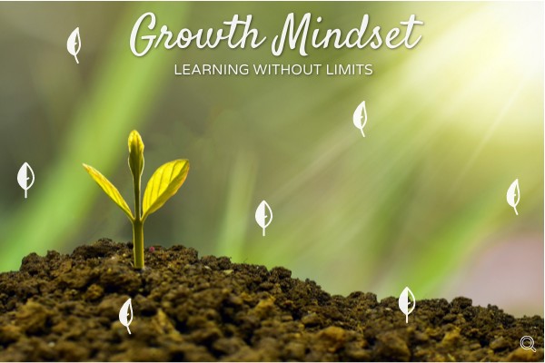 GROWTH MINDSET