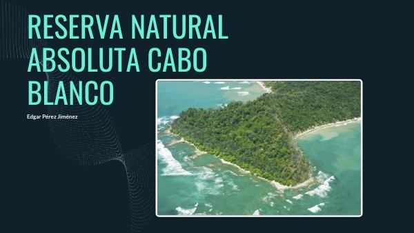 Cabo blanco