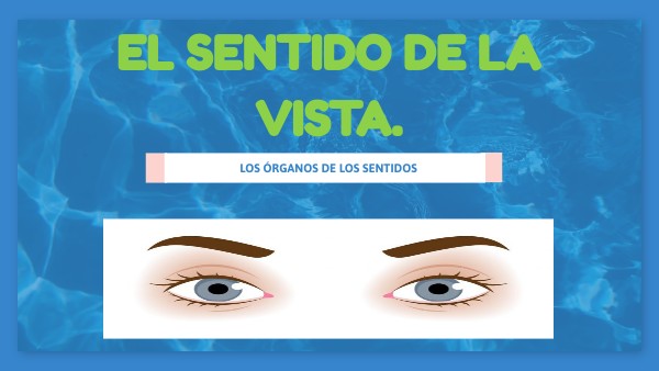 SENTIDO DE LA VISTA