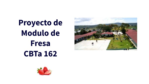 Fresa CBTa 162