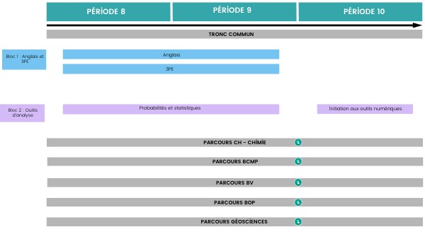 Portail L2 SVTC P8-P9-P10