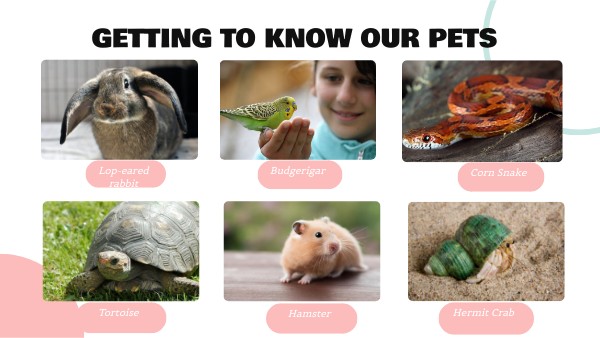 Getting to Know You - Show & Tell