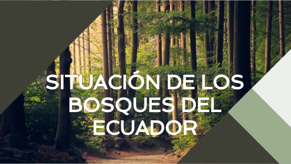 Situación de los bosques del Ecuador | Genially