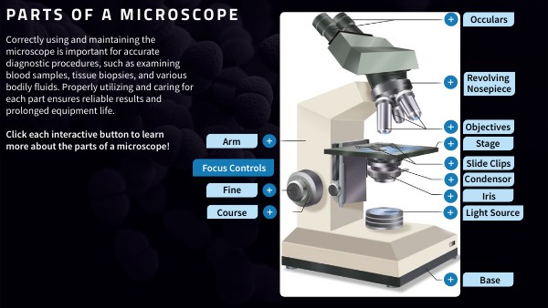 Microparticles Presentation | Genially