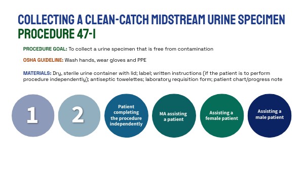 Procedure 47-1 | Genially