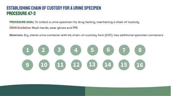 Procedure 47-3 | Genially