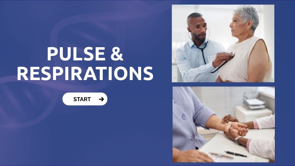 Pulse & respirations | Genially