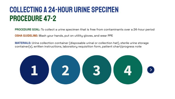 Procedure 47-2 | Genially