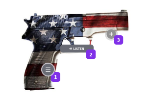Guns - background Information