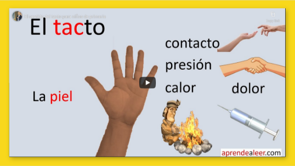 SENTIDO DEL TACTO 2º DE PRIMARIA | Genially