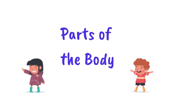 Body Parts | Genially