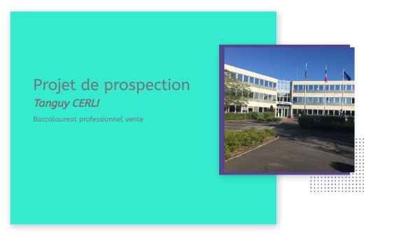 Dossier E32 projet de prospection BAC