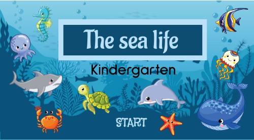Sea life - kindergarten