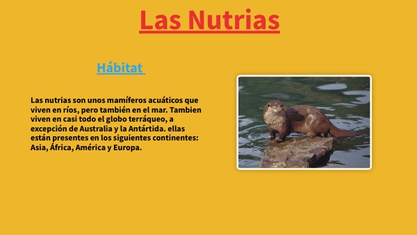 Las nutrias | Genially