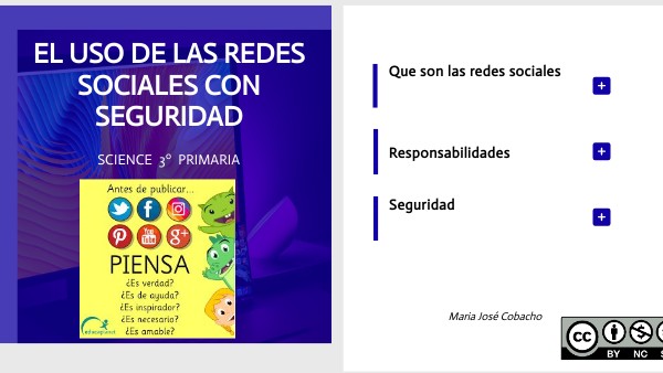 Seguridad En Las Redes Sociales