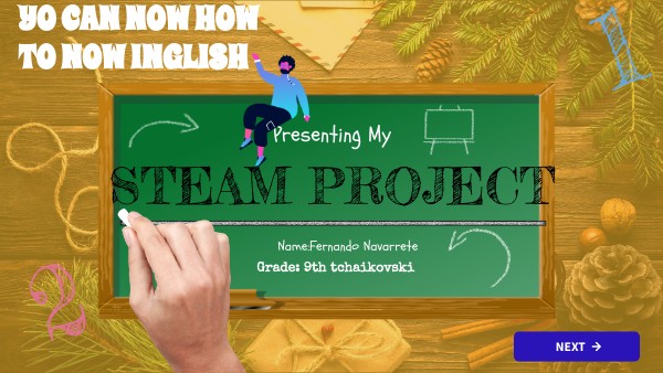 STEAM PROJECT FERNANDO NAVARRETE